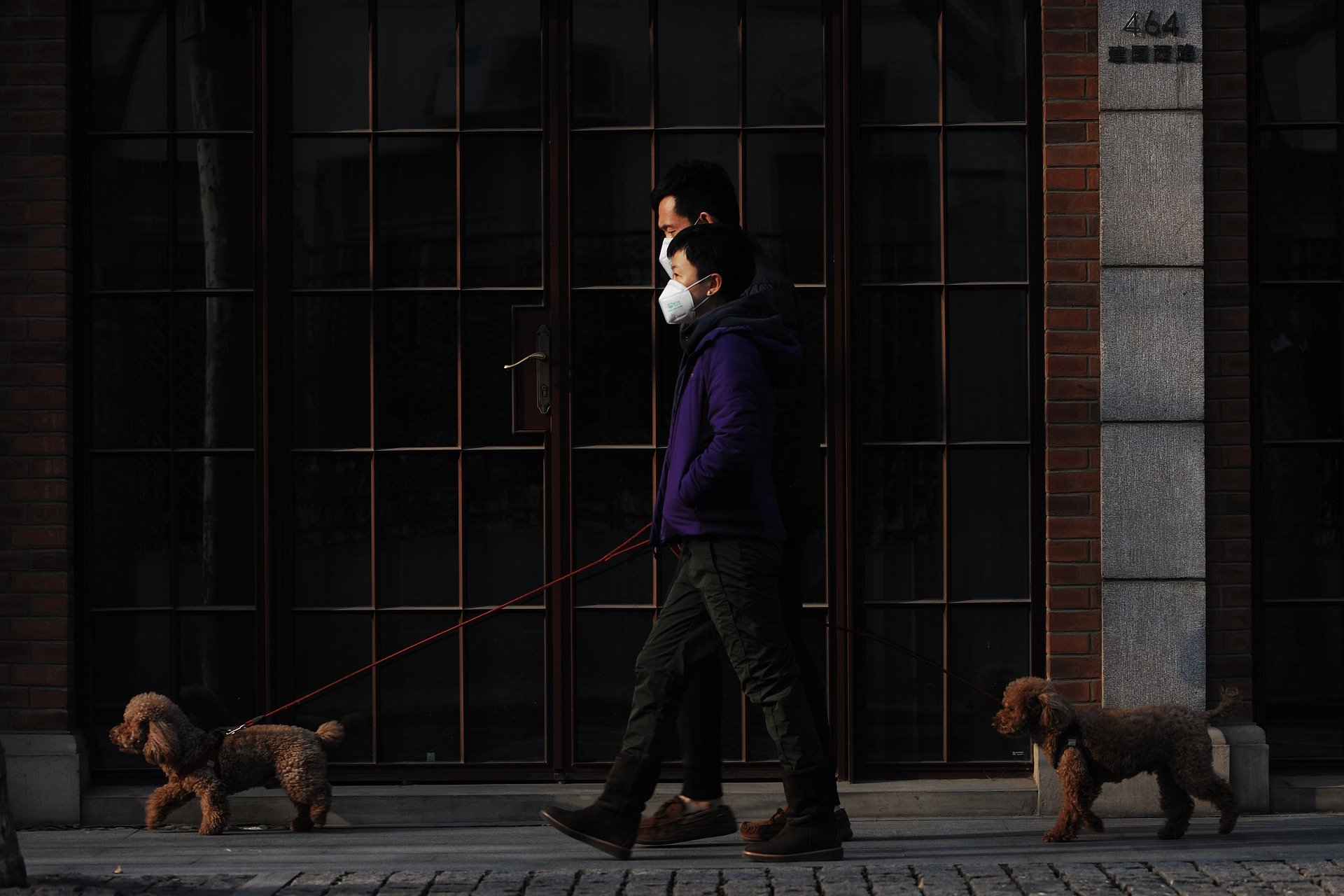 How brands respond to Coronavirus Covid-19 | WDB Agency Blog