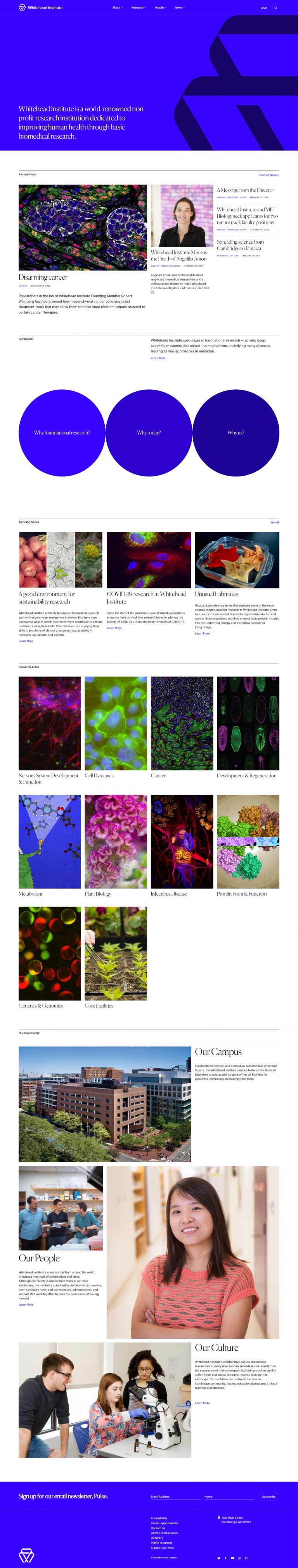 Whitehead Institute of MIT Digital Transformation | WDB Agency